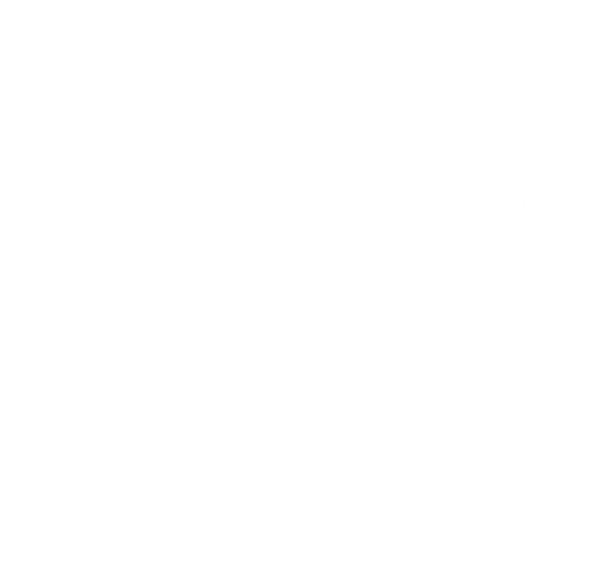 FEBRUARY - 2020 – SEBASTIEN AMI.